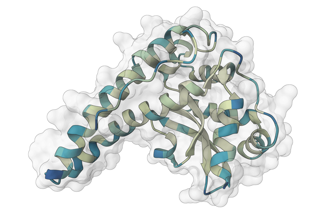 Use AlphaFold2 online | ProteinIQ