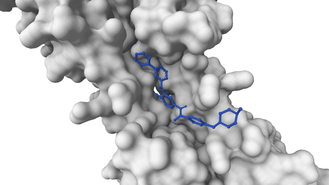 Use AutoDock Vina Online | ProteinIQ