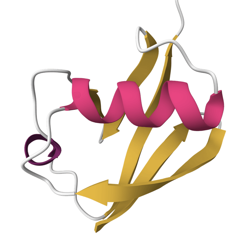 Chou-Fasman | ProteinIQ