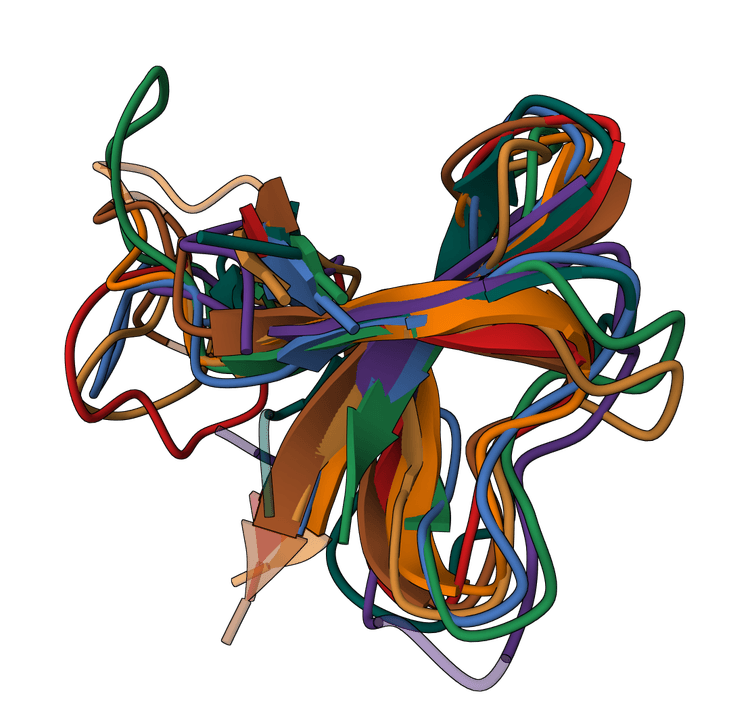 Clustal Omega Multiple Sequence Alignment | ProteinIQ