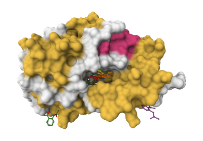 Use DiffDock online | ProteinIQ