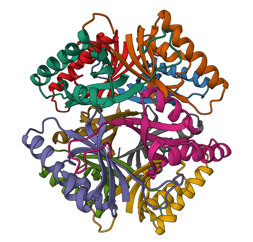 Use FASTA Splitter Online | ProteinIQ