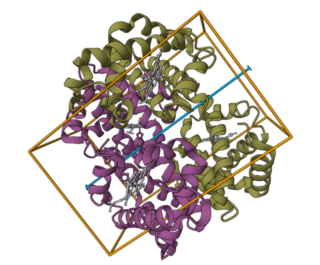 FastTree Phylogenetic Tree Builder | ProteinIQ