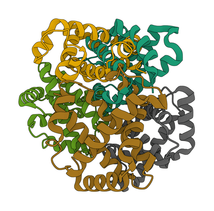 FoldSeek Structural Clustering & Comparison | ProteinIQ