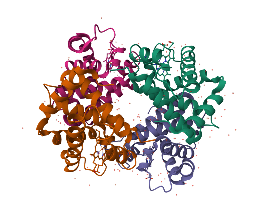 Extinction coefficient calcuator | ProteinIQ