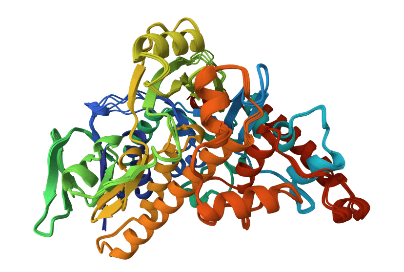 Use MUSCLE5 online - Multiple Sequence Alignment | ProteinIQ