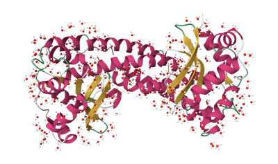 Use PDBFixer (OpenMM) Online | ProteinIQ