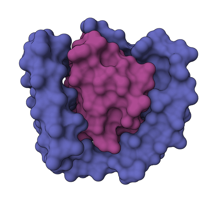 ProteinIQ: Code-free bioinformatics tools