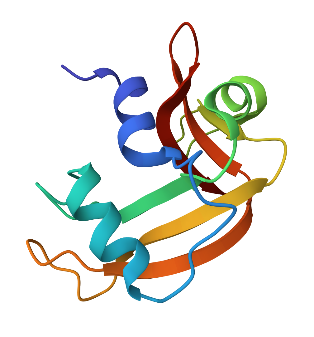 Use ANARCI Online | ProteinIQ