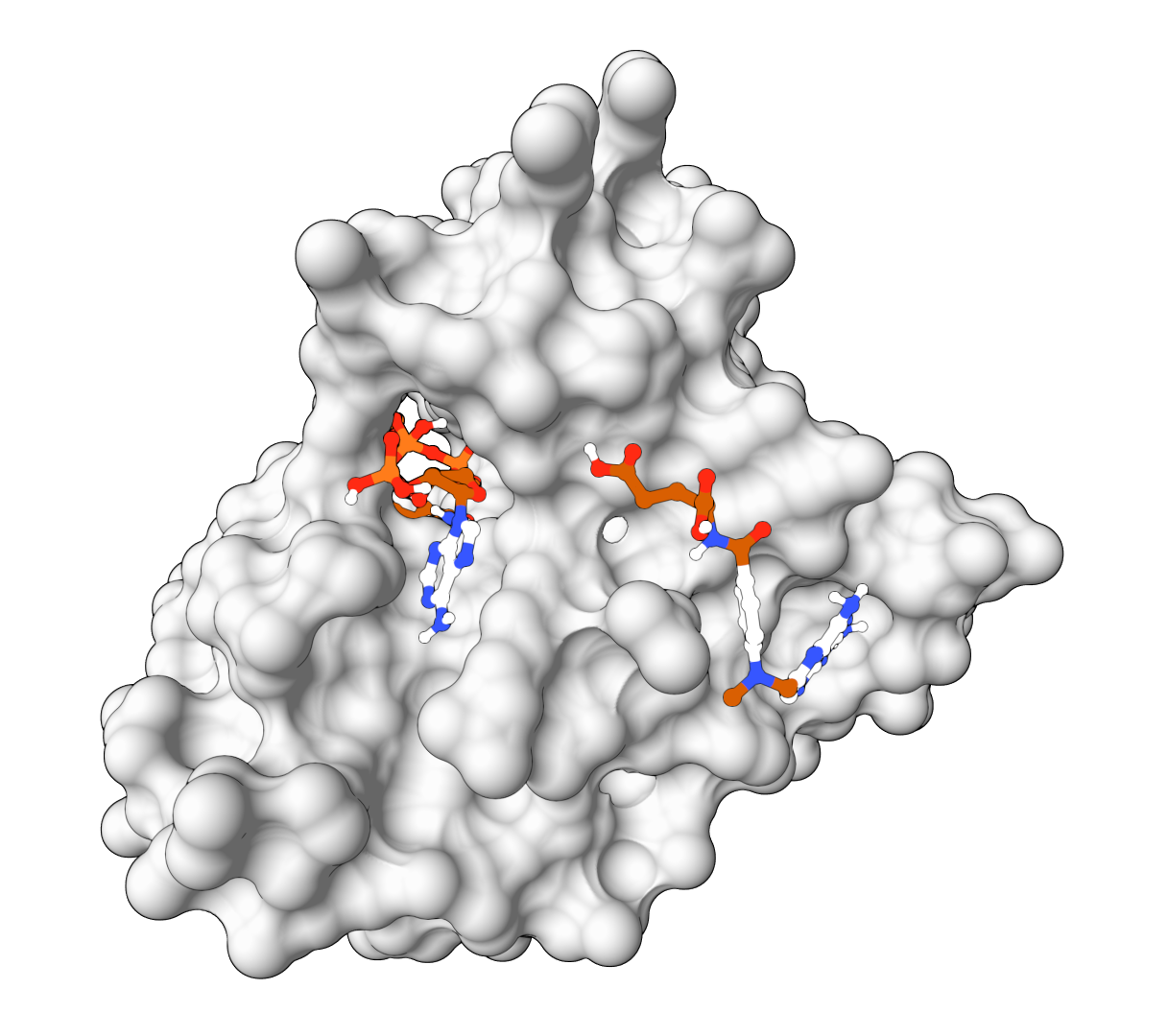PDB Viewer — Interactive 3D Protein Structure Visualization | ProteinIQ
