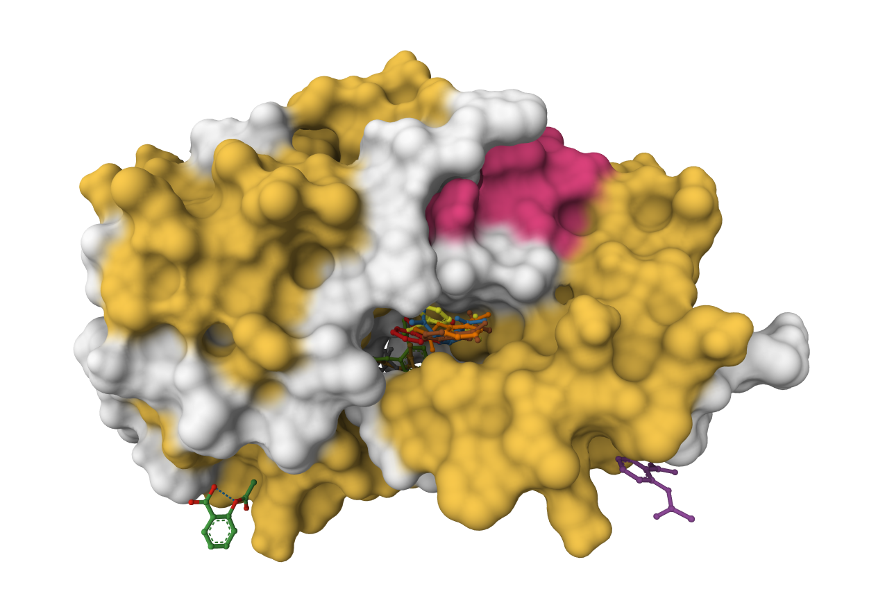 Use DiffDock online | ProteinIQ