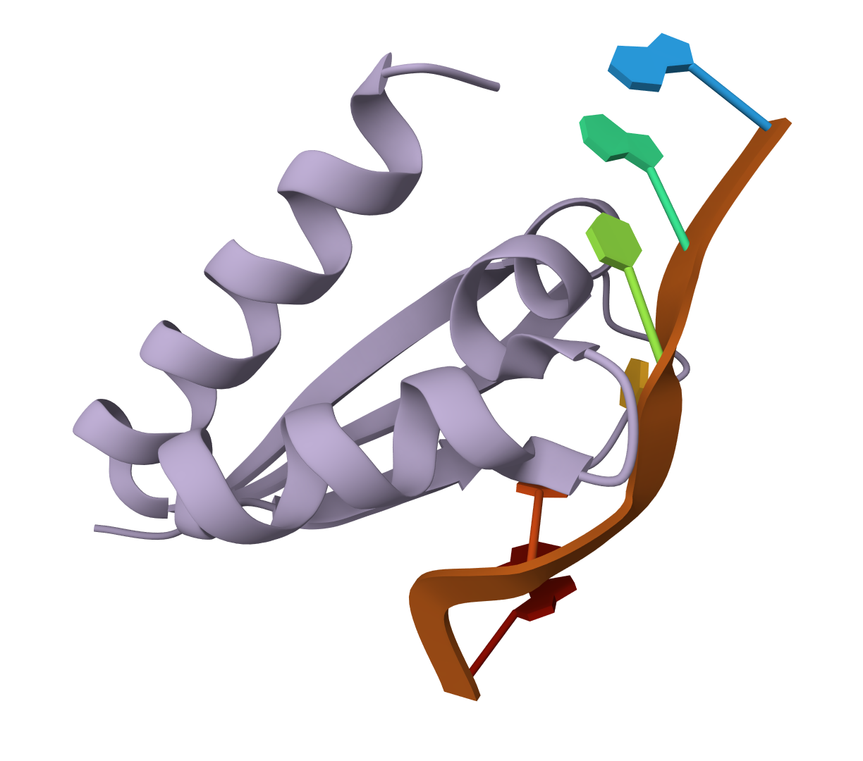 FASTQ to FASTA converter | ProteinIQ