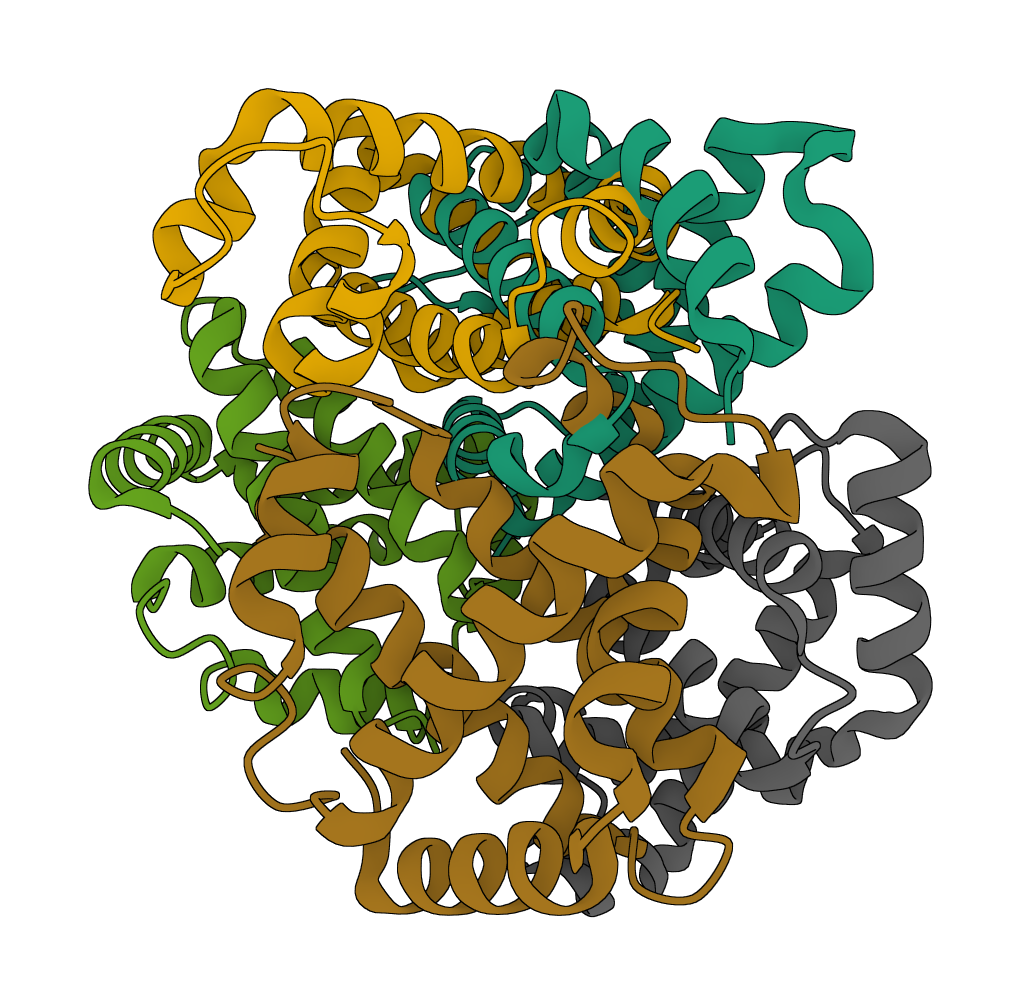 FoldSeek Structural Clustering & Comparison | ProteinIQ