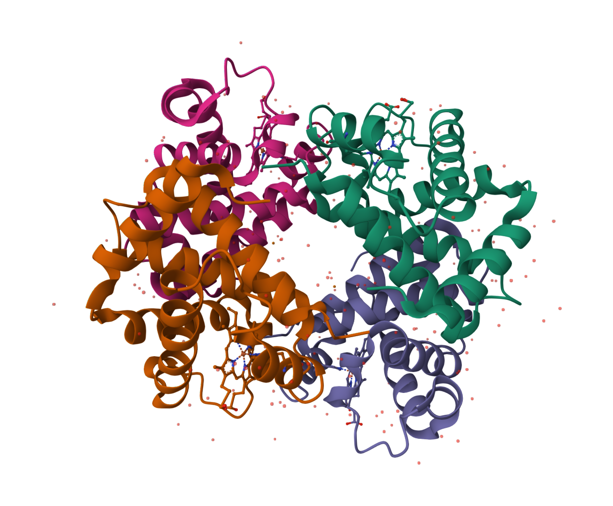 RNA to DNA converter | ProteinIQ