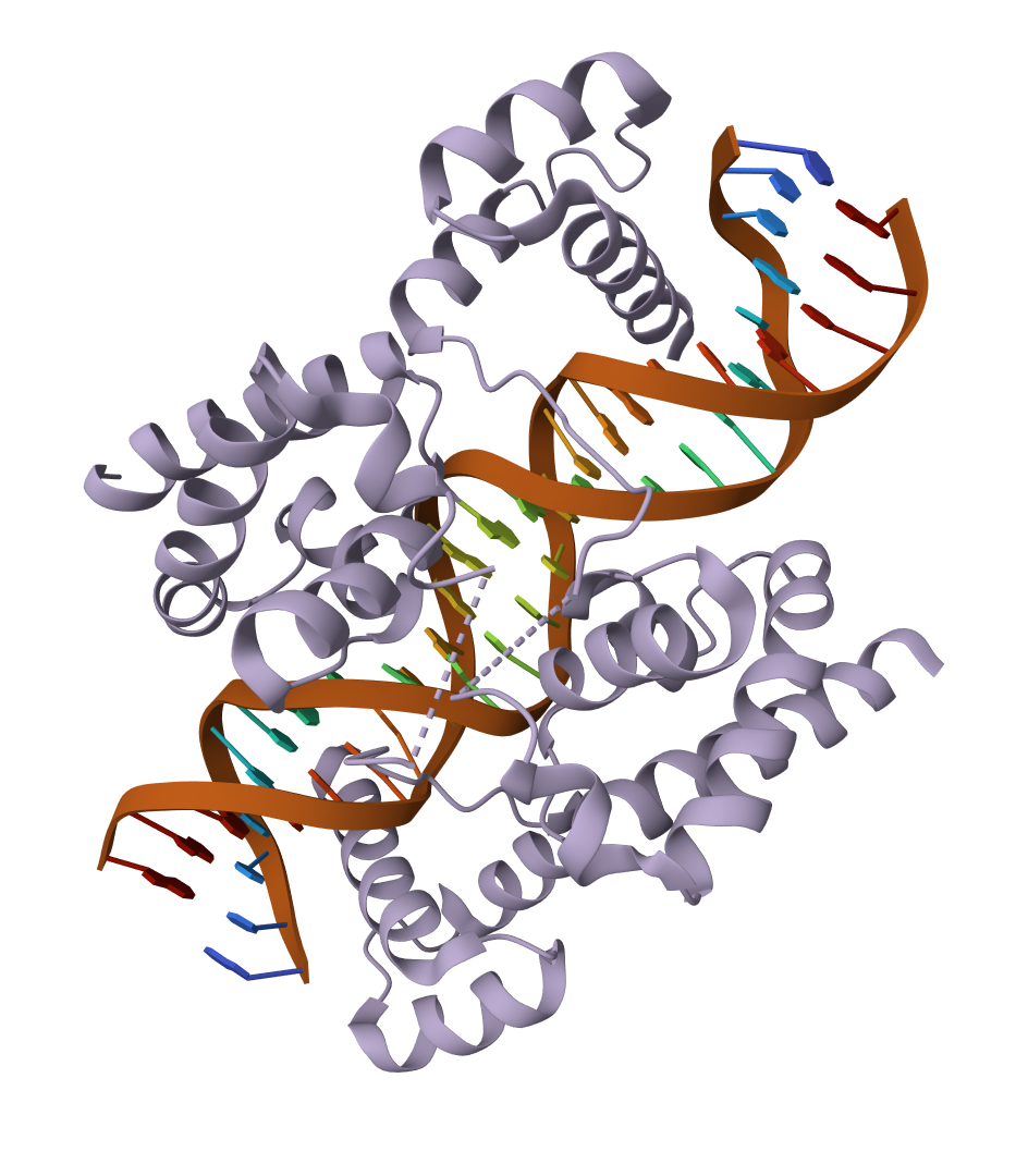 Convert Protein to DNA Online (Reverse translation tool) | ProteinIQ