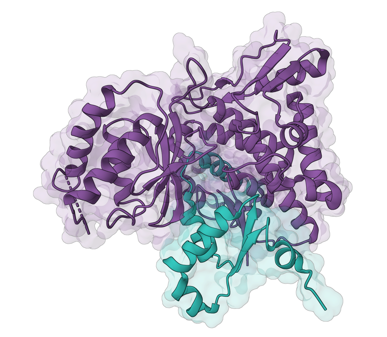 Use RosettaFold3 Online | ProteinIQ
